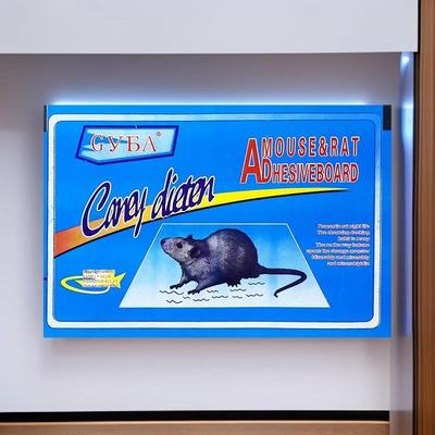 Wholesale new sticky mouse glue traps for home use, strong a