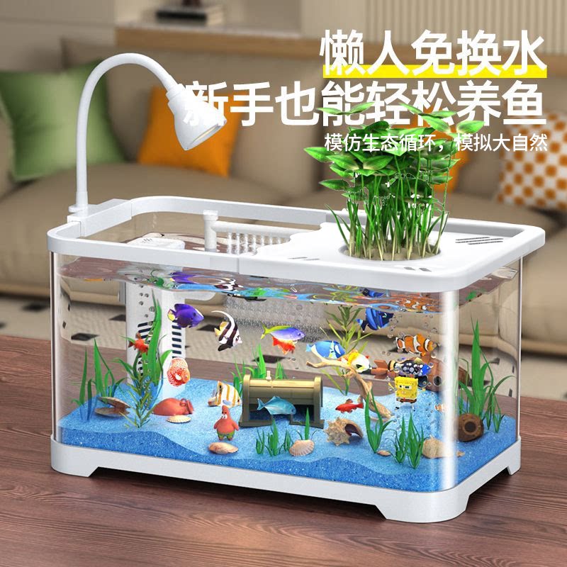 鱼缸小型客厅2025新款造景生态缸过滤制氧All金鱼水族箱桌面