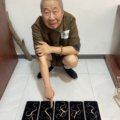 水熊阁 林下板参  中年份林下参 皮兜小礼盒 1支装