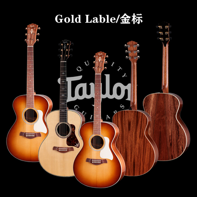 Taylor Glod Lable金标512e 514e 714e 814e 914e全单民谣木吉他