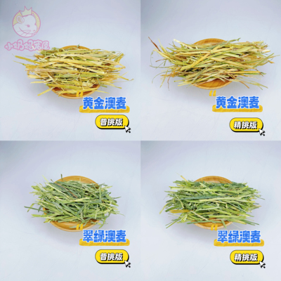 澳洲进口黄金燕麦绿澳麦手挑牧草
