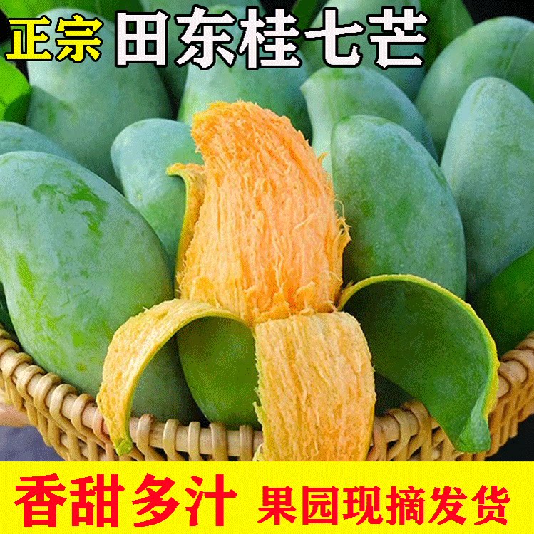 精品桂七香芒桂七芒广西百色桂七芒果新鲜当季水果现摘先发