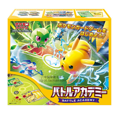 PTCG宝可梦卡牌日文版家庭组合