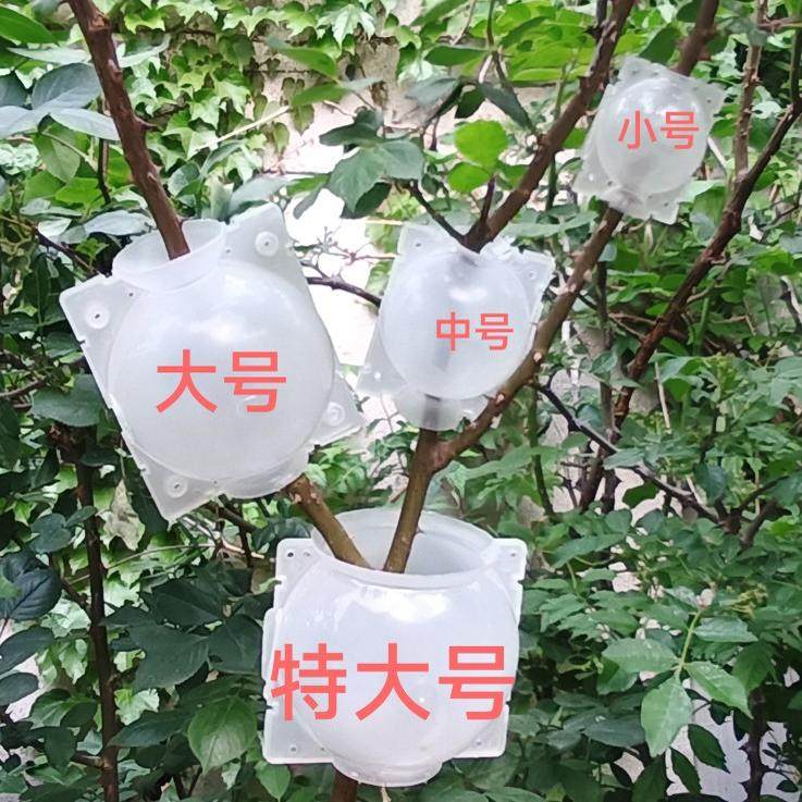 果树嫁接盒植物高压繁殖盒生根器土包花卉控根器高空压条扦插育苗