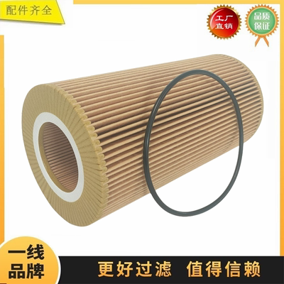 1629393 1643070 LF16233 HU12103X E89HD213 机油滤清器机油滤芯