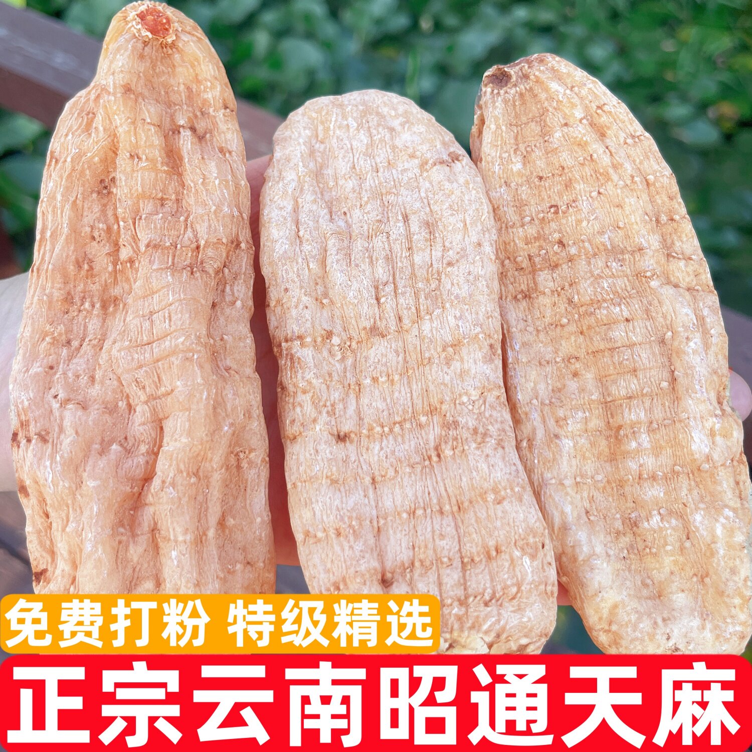 云南小草坝特级正宗天麻500g干货中药材中草药精选天麻粉切片无硫
