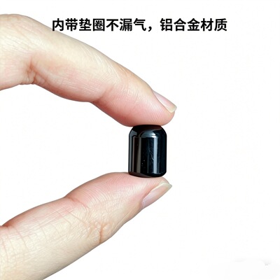 适用于特斯拉汽车轮胎气门芯帽ModelS ModelX Model3ModelY气嘴盖