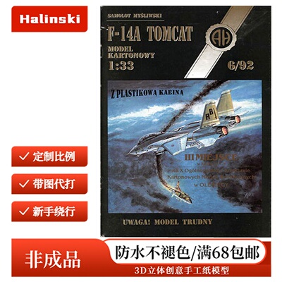 Halinski MK 1992-06 - F14 Tomcat
