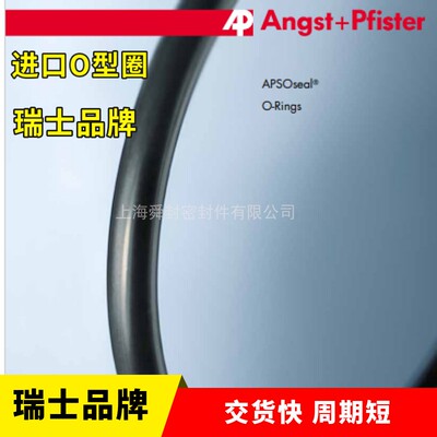 A+P昂思菲特Angst+Pfister密封圈