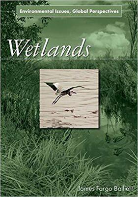 【预售】Wetlands