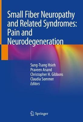 【预订】Small Fiber Neuropathy and Related Syndromes: Pain and Neurodegeneration