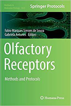 【预售】Olfactory Receptors