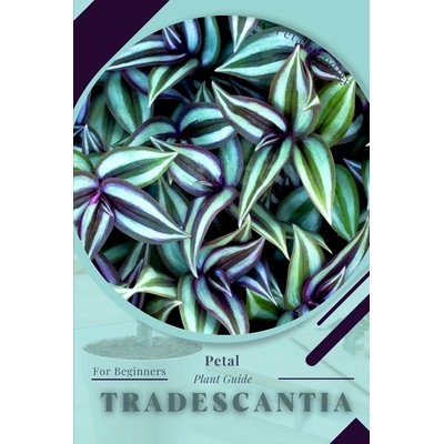 预订 Tradescantia: Prodigy Petal, Plant Guide: 9798386532284