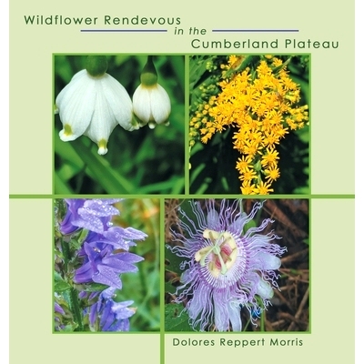 预订 Wildflower Rendevous in the Cumberland Plateau: 9781664281967