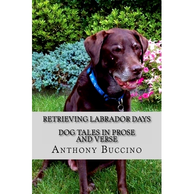 预订 Retrieving Labrador Days: Dog tales in prose and verse: 9781475100679