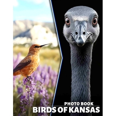 预订 Birds of Kansas Photo Book: Explore 40 Stunning Images Showcasing Kansas’ Avian Wildlife For Enthusiasts And Natur