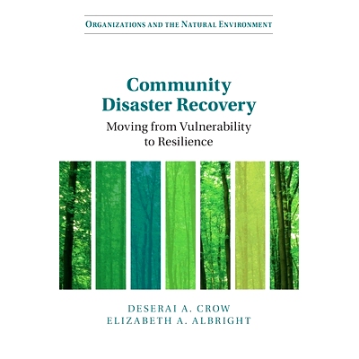 预订 Community Disaster Recovery: Moving from Vulnerability to Resilience 灾难后的社区恢复：从脆弱性到适应力: 9781009054