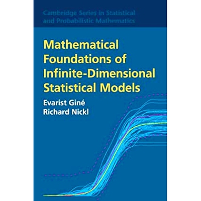预售 Mathematical Foundations of Infinite-Dimensional Statistical Models 无限维空间统计模型的数学基础: 9781108994132