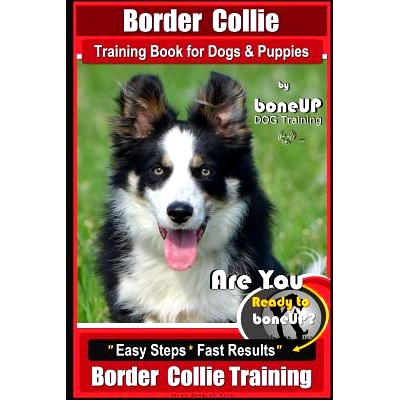 预订 Border Collie Training Book for Dogs and Puppies by BoneUP Dog Training: Are You Ready to Bone Up? Easy Steps * Fas