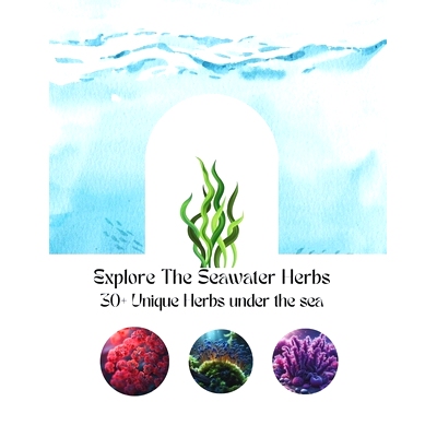 预订 Explore The Seawater Herbs: More 30 Unique Herbs Under The Sea With Introductions, History, Benefits, And Combinati