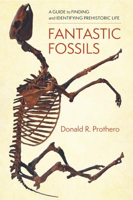 【预订】Fantastic Fossils: A Guide to Finding and Identifying Prehistoric Life