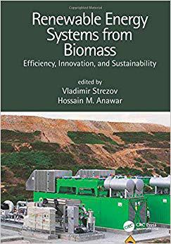 【预售】Renewable Energy Systems from Biomass