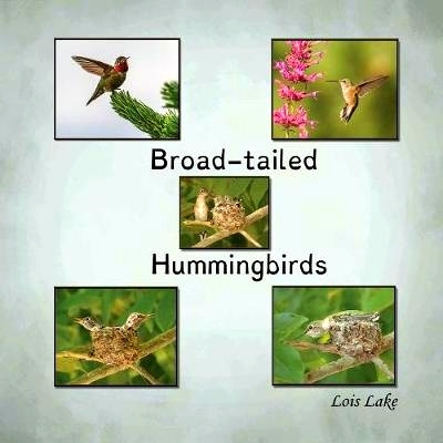 预订 Broad-tailed Hummingbirds: 9781943650873