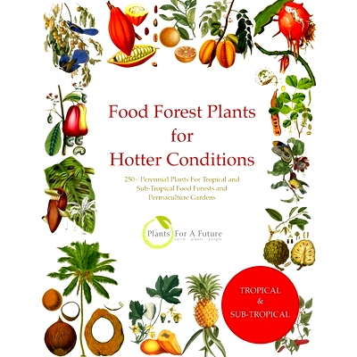 预订 Food Forest Plants for Hotter Conditions: 250+ Perennial Plants For Tropical and Sub-Tropical Food Forests and Perm