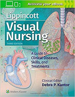 【预订】Lippincott Visual Nursing
