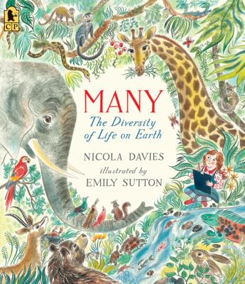 现货英文原版 生物多样性 Emily Sutton 插画 平装绘本 Many: The Diversity of Life on Earth