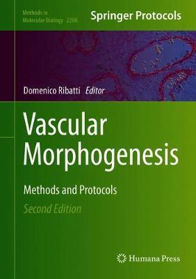 【预订】Vascular Morphogenesis