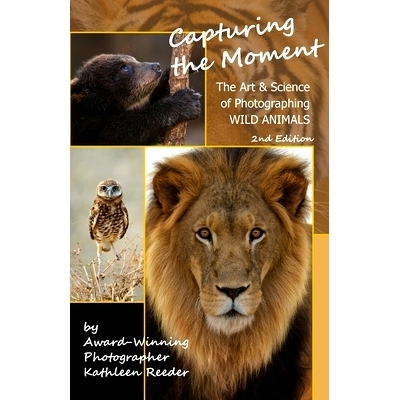 预订 Capturing the Moment, The Art & Science of Photographing Wild Animals: 9780991124435