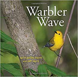 【预售】Warbler Wave