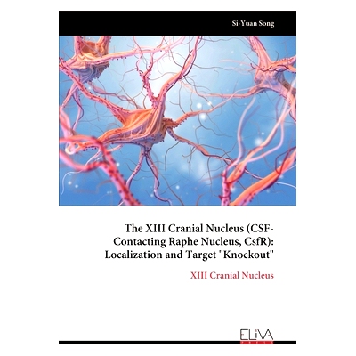预订 The XIII Cranial Nucleus (CSF-Contacting Raphe Nucleus, CsfR): Localization and Target 