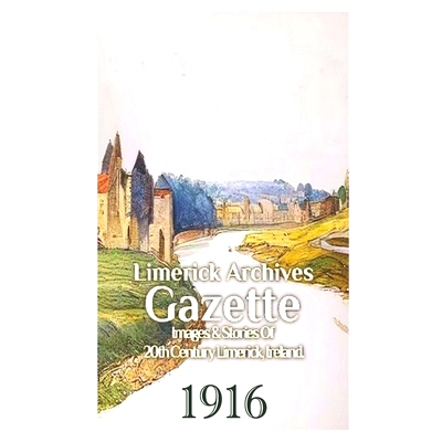 预订 Limerick Archives Gazette: 1916: 9798323608225