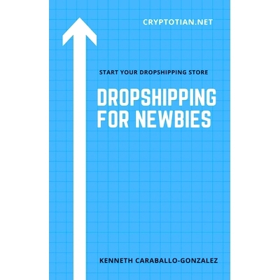 预订 Dropshipping For Newbies: 9798215997512