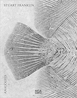 【预售】Stuart Franklin: Analogies (limited Edition)