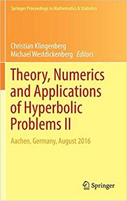 【预售】Theory, Numerics and Applications of...