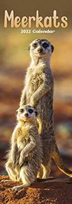 【预订】Meerkats 2022 Slim Calendar 9781839413636