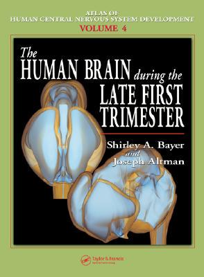 【预售】The Human Brain During the Late First Trimester