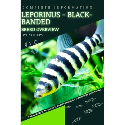 预订 Leporinus - Black-banded: From Novice to Expert. Comprehensive Aquarium Fish Guide: 9798398787566