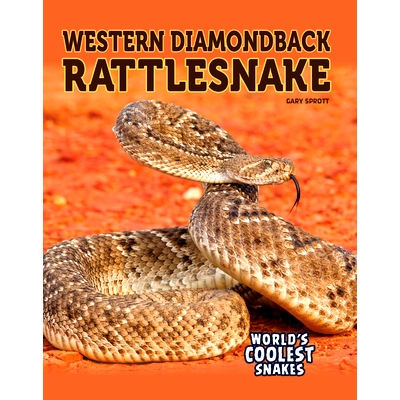预订 Western Diamondback Rattlesnake: 9781641564854