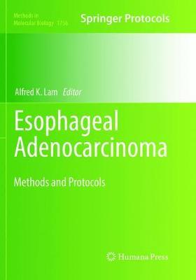【预订】Esophageal Adenocarcinoma: Methods and Protocols