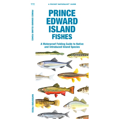 预订 Prince Edward Island Fishes: A Folding Guide to Native and Introduced Freshwater Species