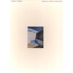 预订 Carefully painted yellow areas仔细涂上黄色区域: 9789893522004