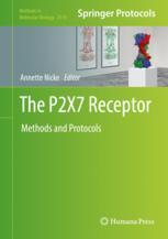 【预订】The P2X7 Receptor 9781071623831
