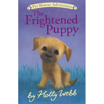 预订 The Frightened Puppy 受惊的小狗: 9781664340817