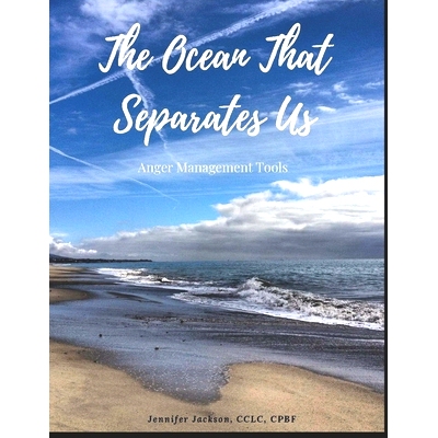 预订 The Ocean That Separates Us: Anger Management Tools: 9781735749914