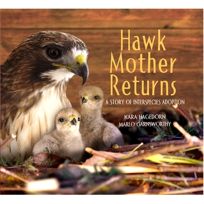 预订 Return of the Hawk Mother: A Story of Interspecies Adoption 鹰母归来: 9781970039085