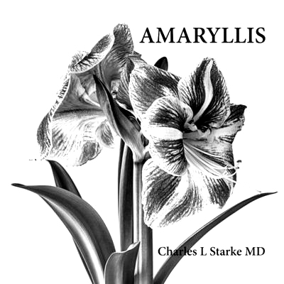 预订 Amaryllis: A Photographic Study of a Flower - A Memory of Life: 9798729470051